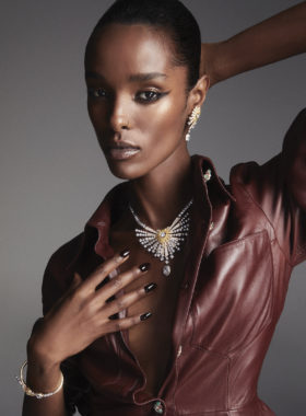 A Ray of Light with CHANEL High Jewelry - V Magazine