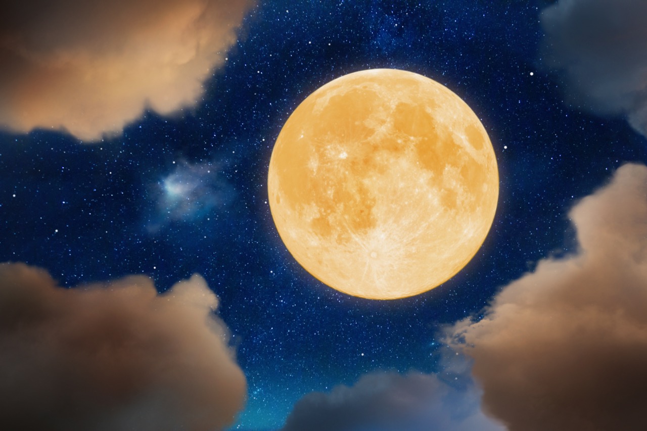 Challenge Your Impulse Control On February's Full Moon in Leo - V Magazine