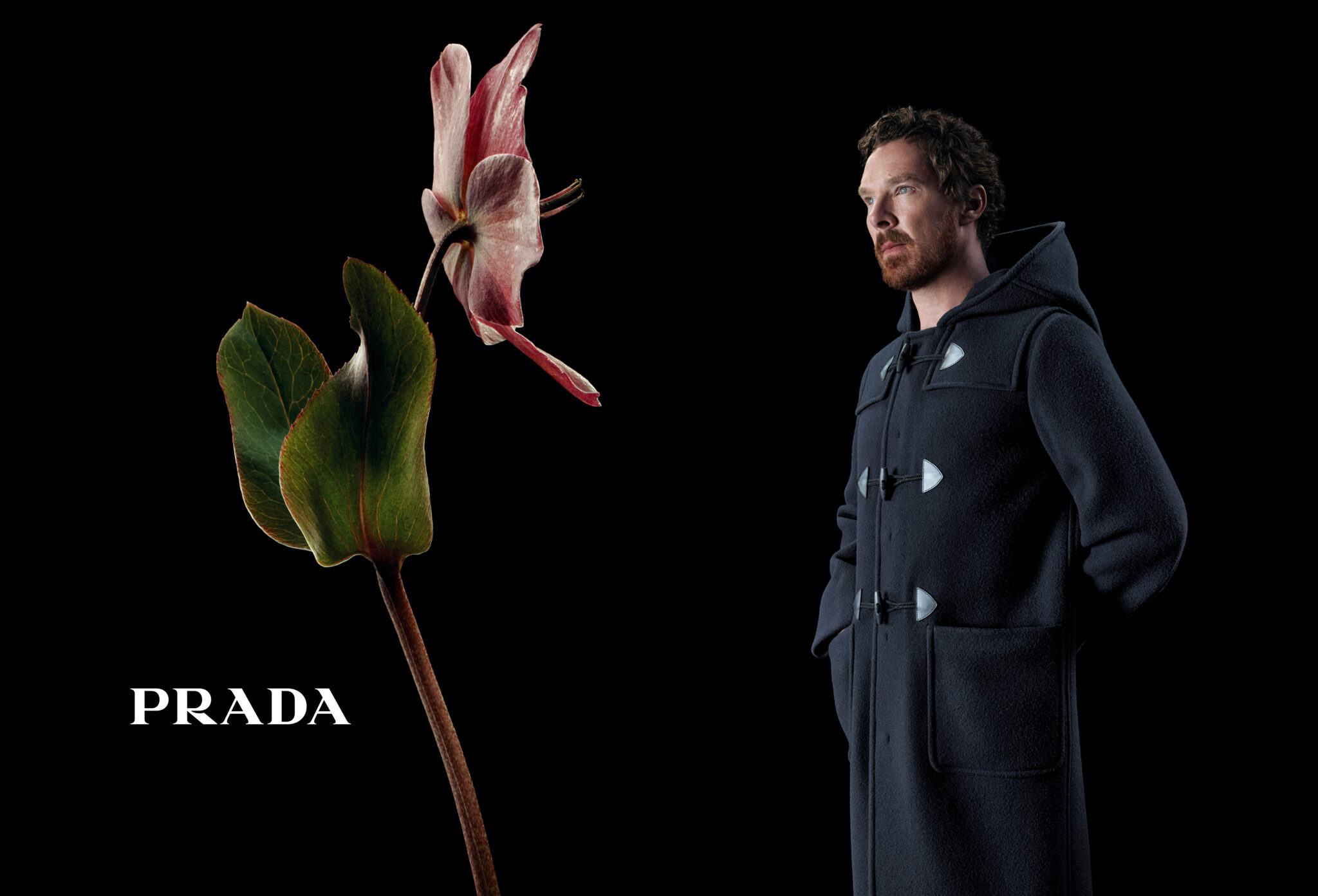 Prada's FW23 Campaign Blooms Conversations Between Flowers and Humans ...
