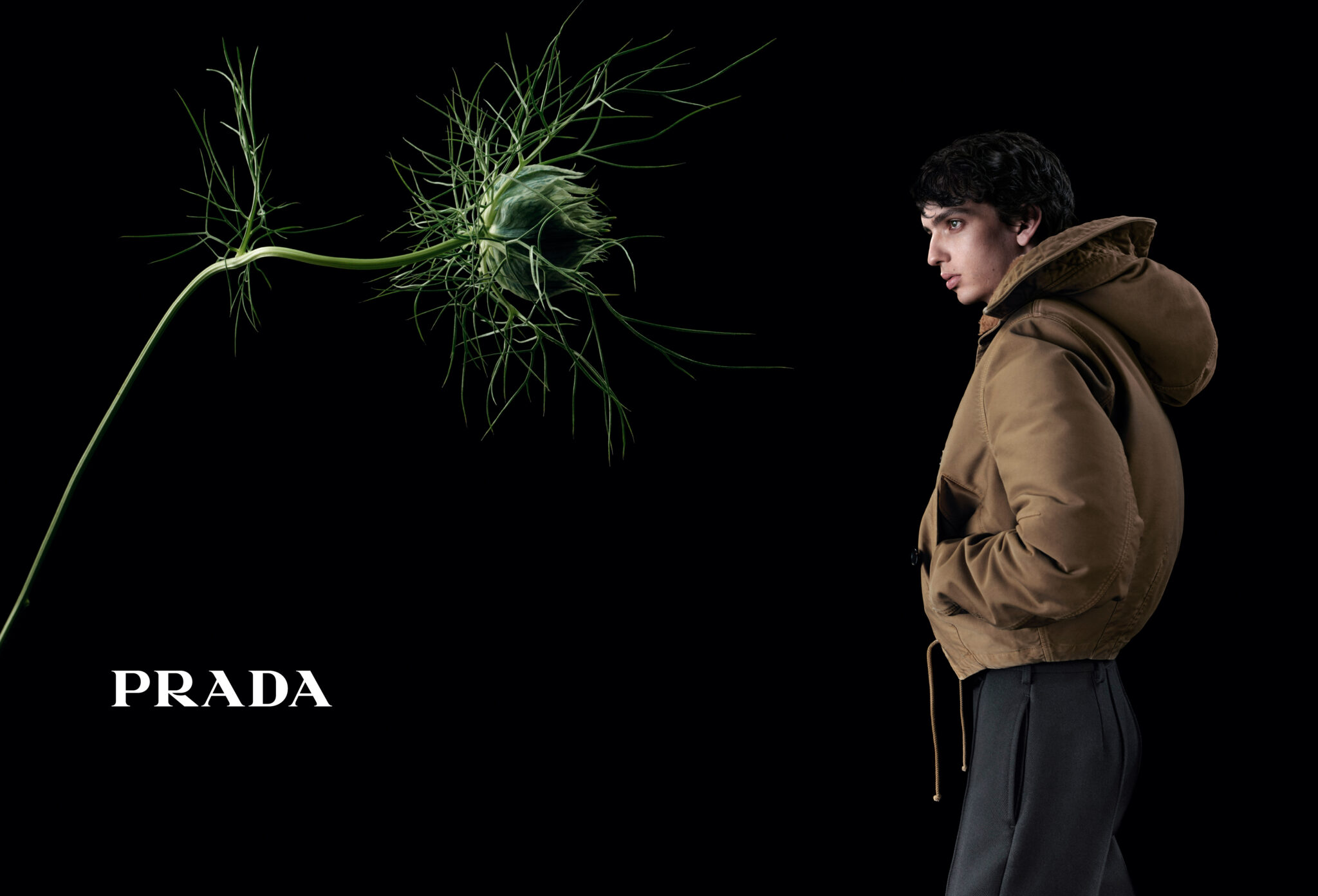 Prada's FW23 Campaign Blooms Conversations Between Flowers and Humans ...