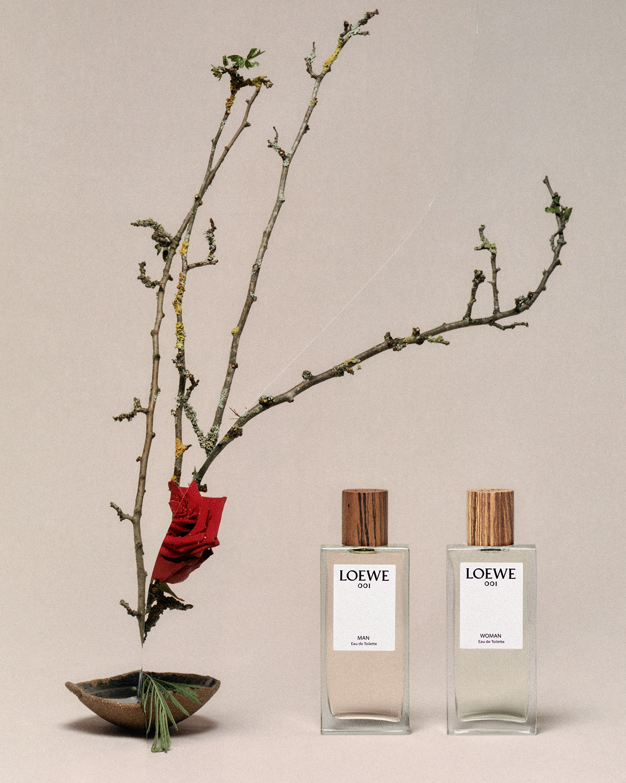 Loewe Debuts Botanical Rainbow Scent Collection With Greta Lee, Úrsula ...