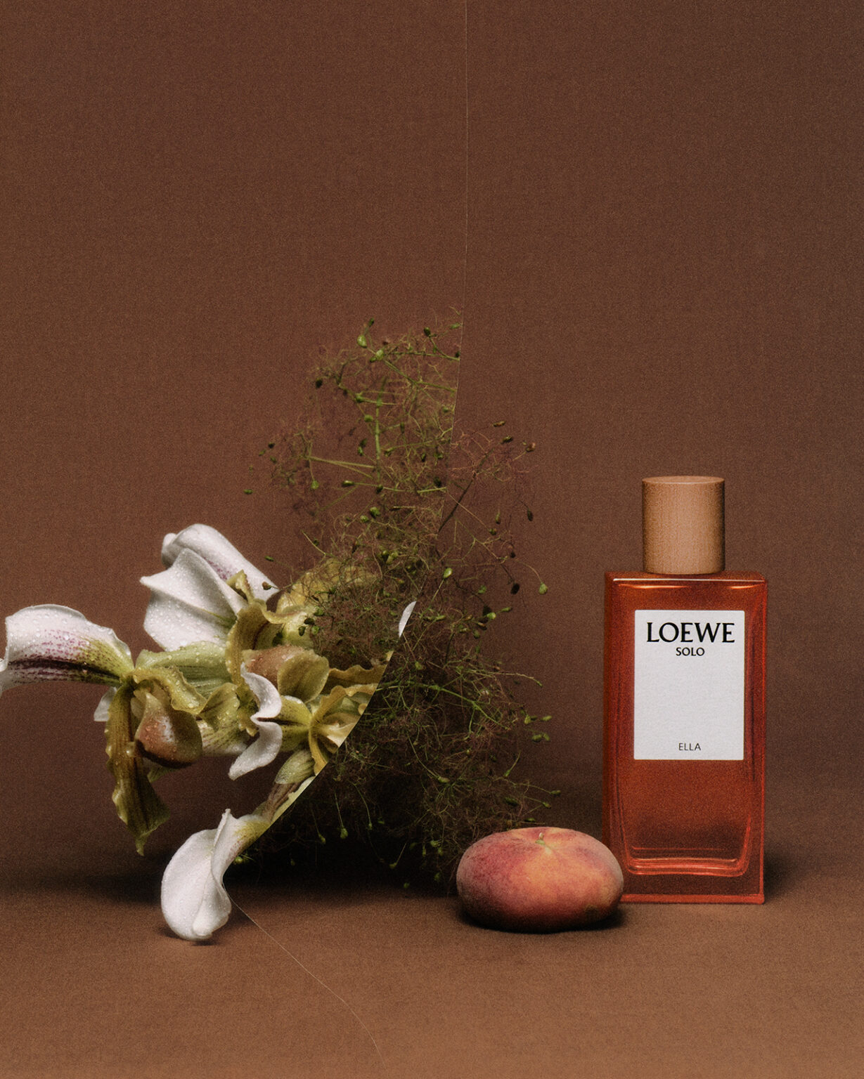 Loewe Debuts Botanical Rainbow Scent Collection With Greta Lee, Úrsula ...