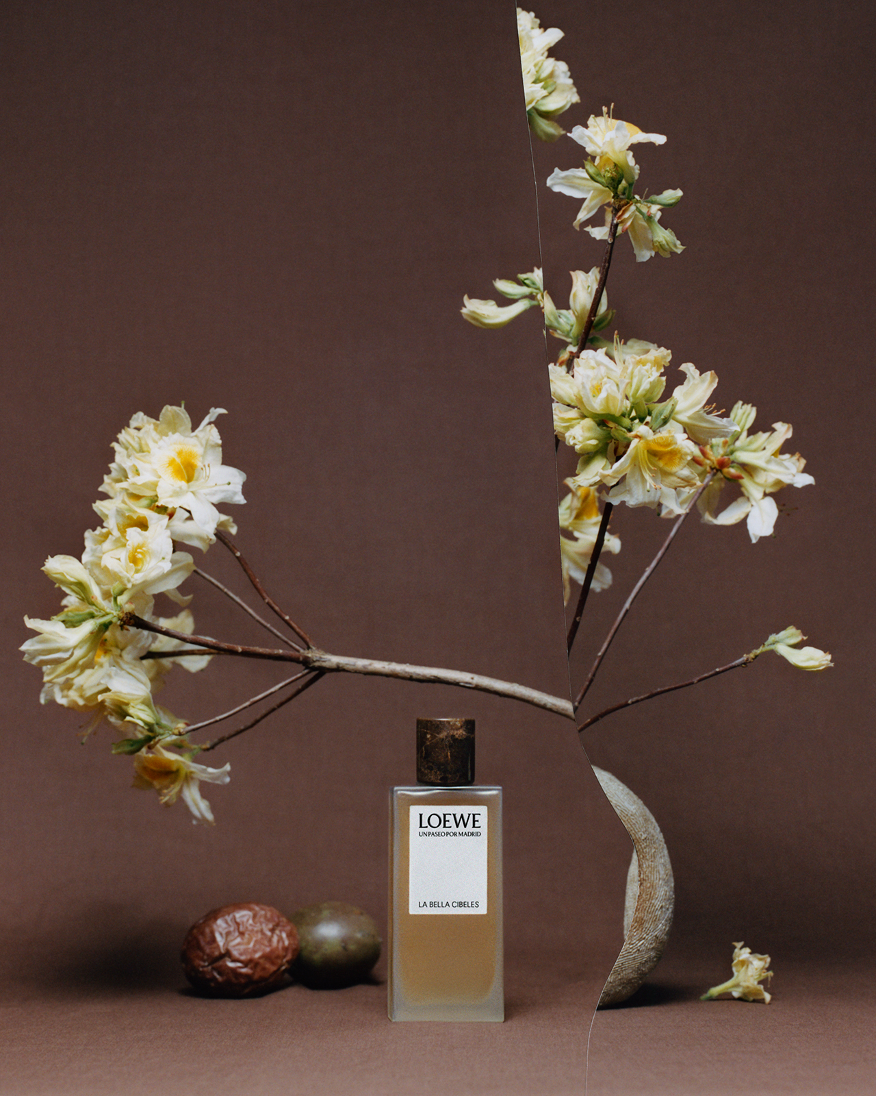 Loewe Debuts Botanical Rainbow Scent Collection With Greta Lee, Úrsula ...