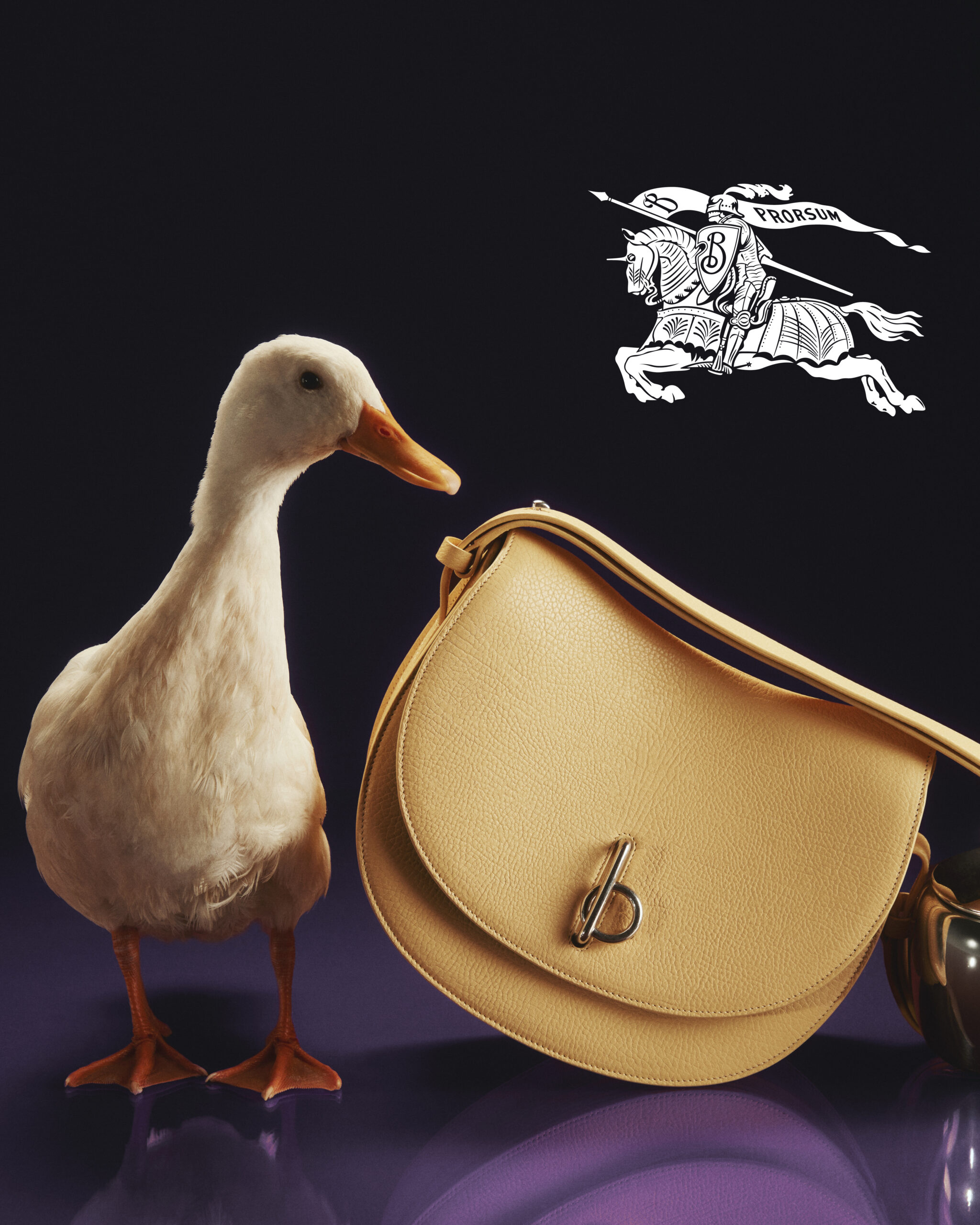 Burberry’s 2023 Holiday Campaign: A Festive Extravaganza - V Magazine