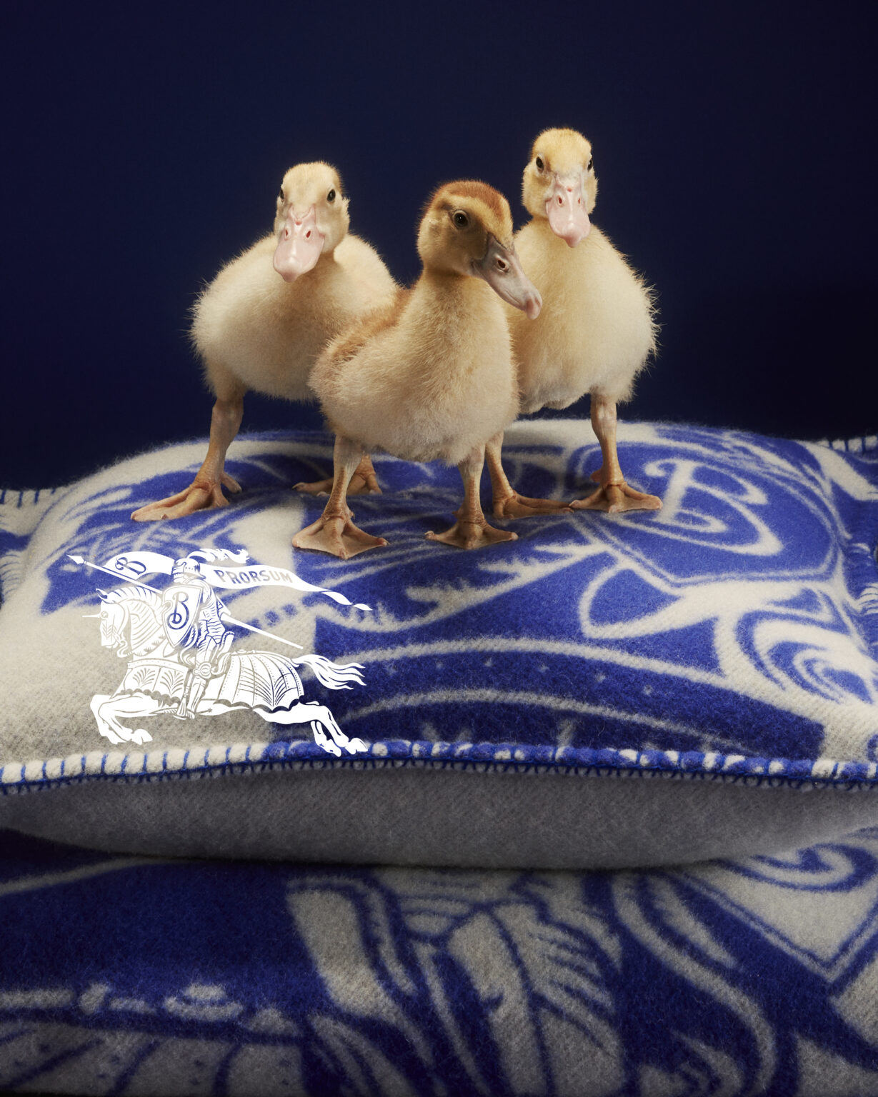 Burberry’s 2023 Holiday Campaign: A Festive Extravaganza - V Magazine