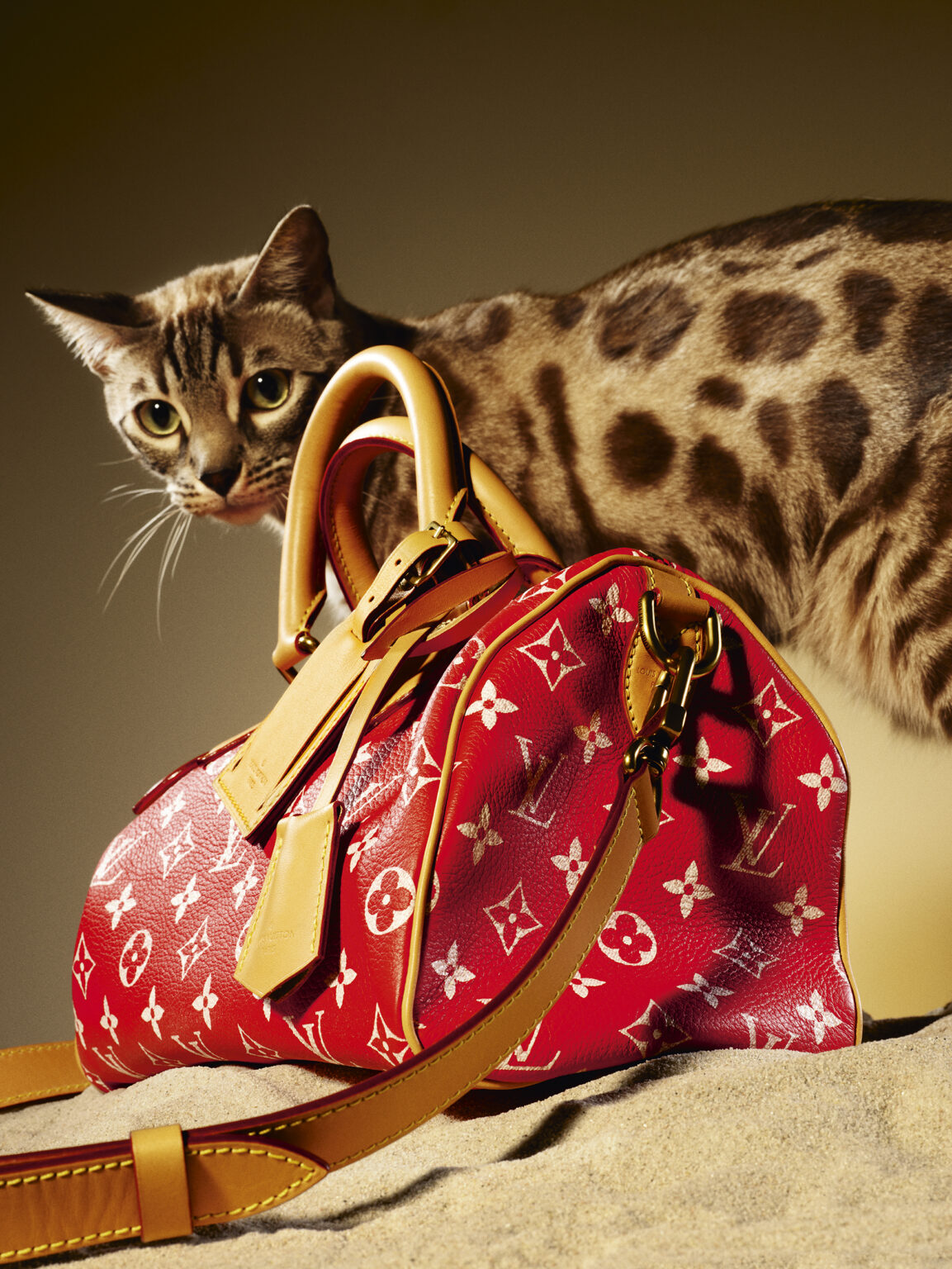 V Magazine - Where pop culture meets fashion.