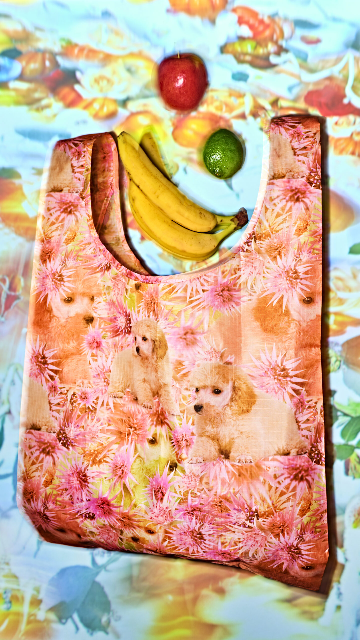 Collina Strada’s Trippy Collaboration With Baggu Has Arrived - V Magazine