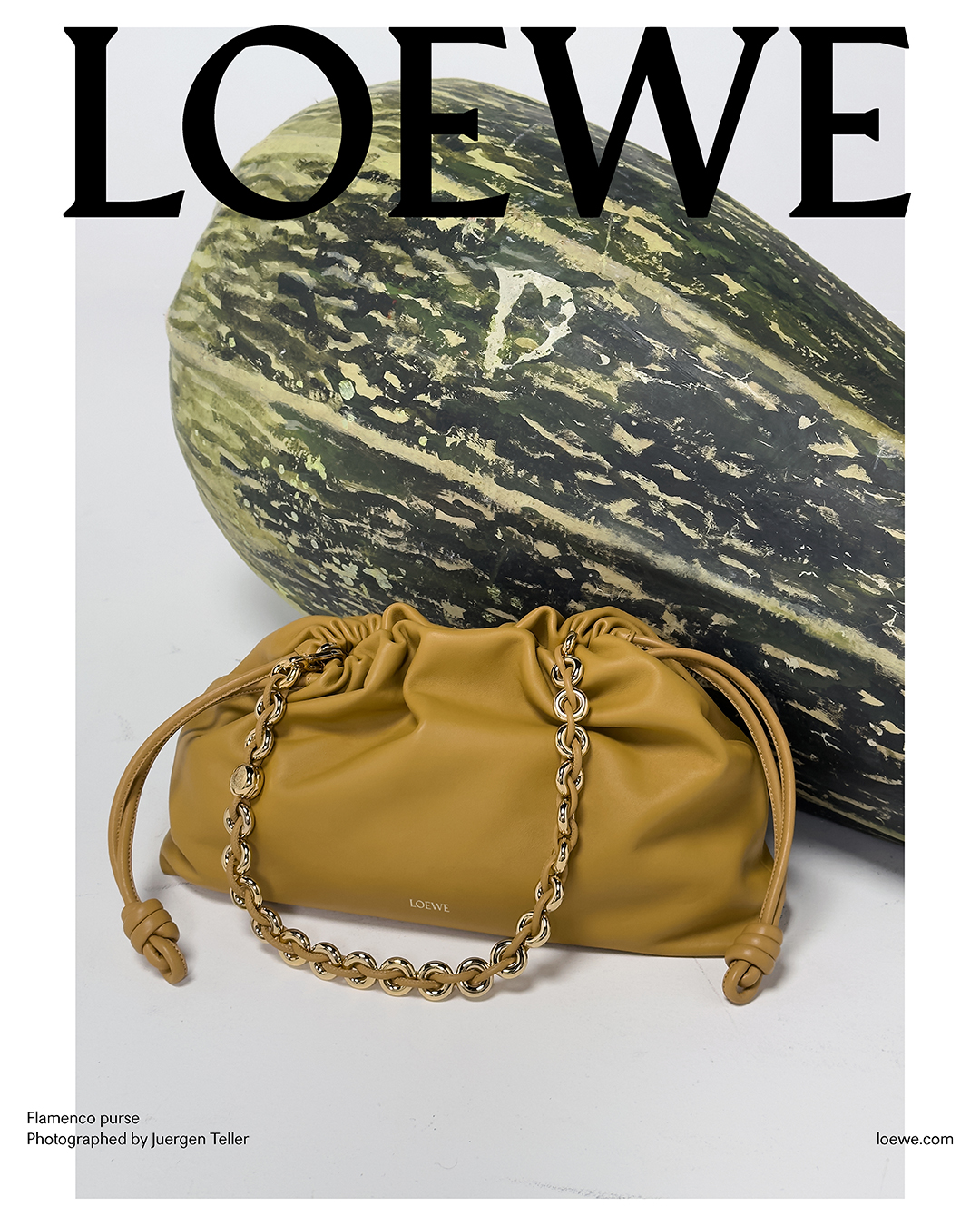 LOEWE Launches SS25 Precollection Campaign by Juergen Teller - V Magazine